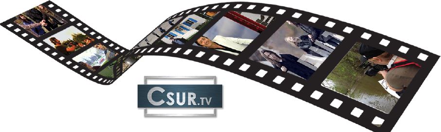 csur | CCIVS